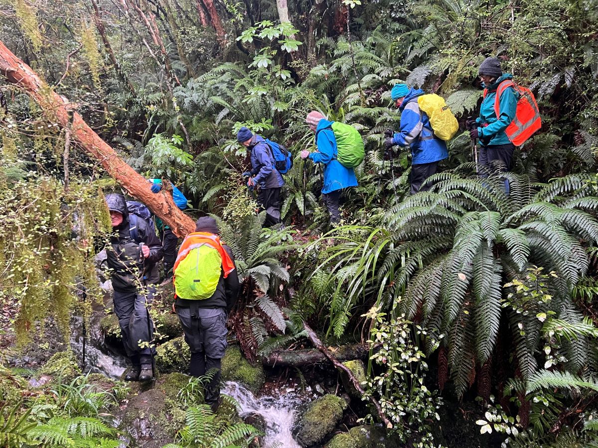 Nicols Creek, Moon Track, Pepper Tree Track, Pineapple Track – Taieri ...
